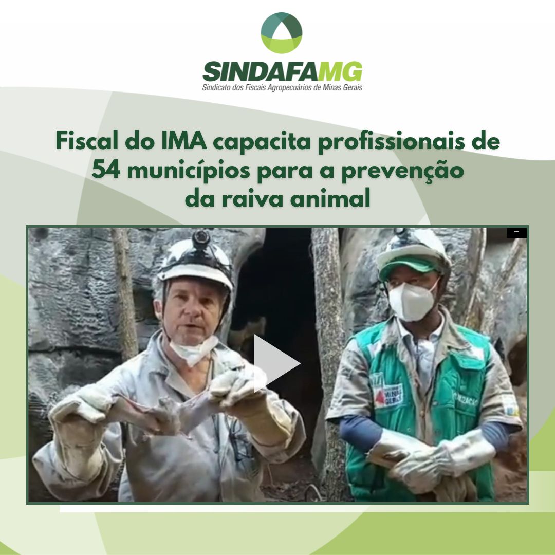Fiscal do IMA capacita profissionais de 54 municípios para a prevenção ...