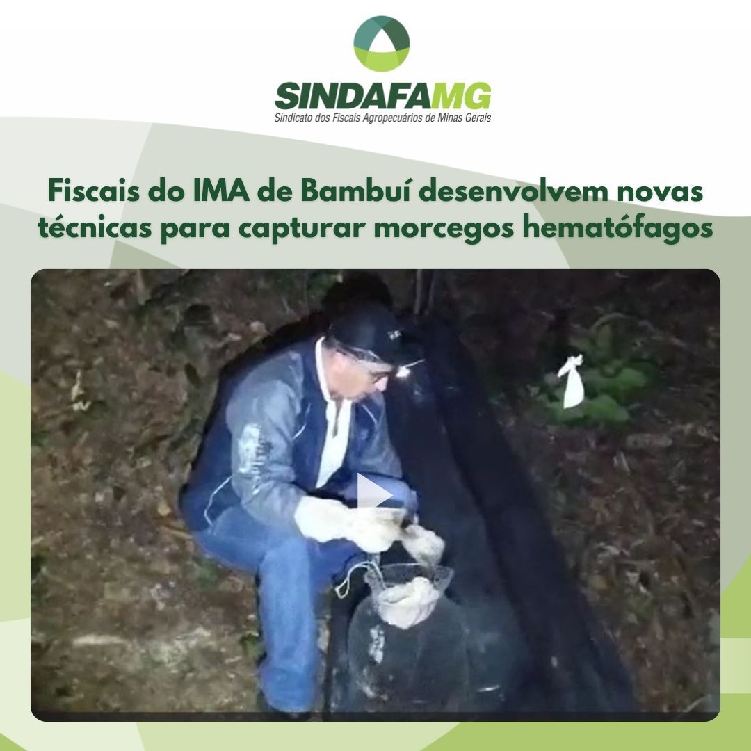 Fiscais do IMA de Bambuí desenvolvem novas técnicas para capturar ...
